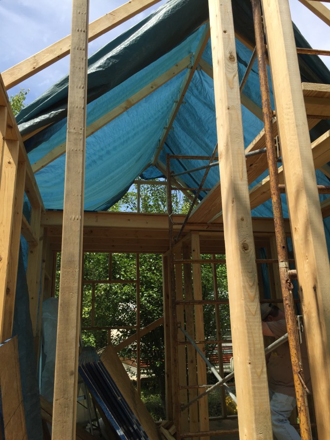 Tiny Cabin: Bees, Rafters, Monkey Bars | paulette guerin