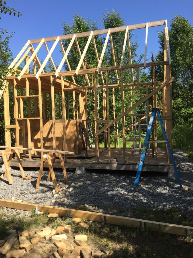 Tiny Cabin Rafters | paulette guerin